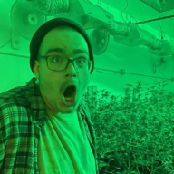 What is Hop Latent Viroid in Cannabis? (HpLVD) - ILGM