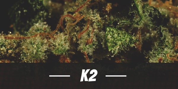 K2 Strain Review - I Love Growing Marijuana