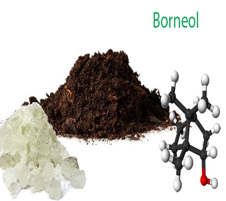 Terpenes: The Flavor Of Marijuana
