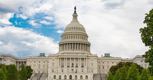 Marijuana Grow & News Blog by Robert Bergman