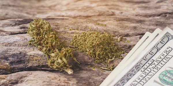 How Much Do Weed Seeds Cost 2021 Guide To Pricing 