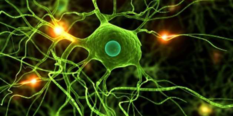 Growing Marijuana At The Cellular Level