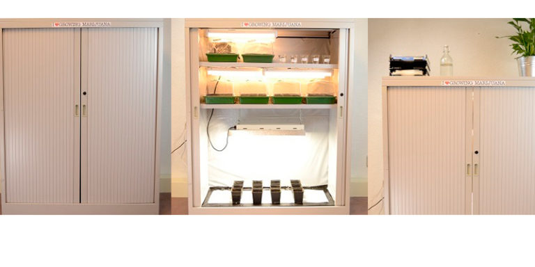 How To Make A Marijuana Clone Box In 7 Steps