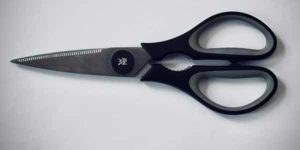 How to SCROG Marijuana Plants: Full Scrogging Tutorial - I Love Growing ...