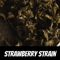 Strawberry Lemonade Strain Information and Review (Updated)