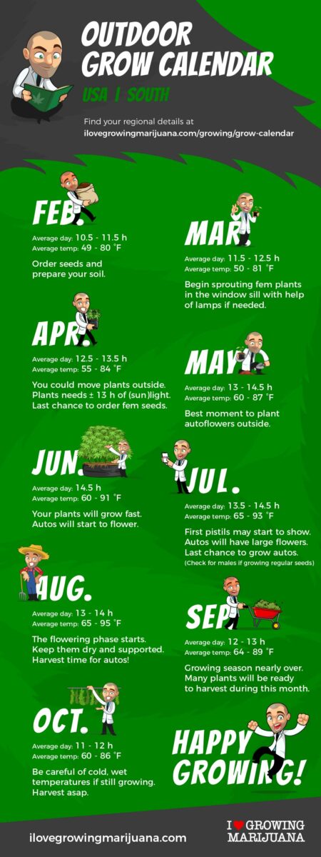 When Does Flowering Start Outdoors? Weed Grow Calendar