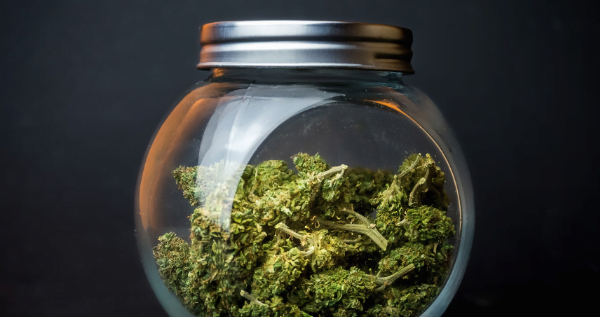 How to Store Weed & Keep Marijuana Fresh