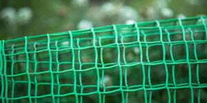 How to SCROG Marijuana Plants: Full Scrogging Tutorial - I Love Growing ...