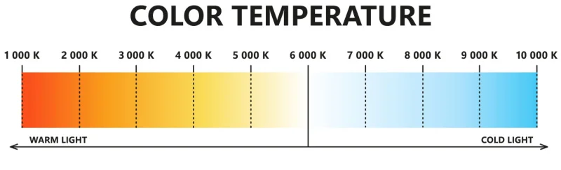Best Light Schedule For Autoflowering Cannabis