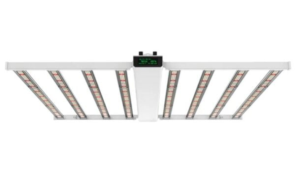 Choose the Best Timer for Your Grow Lights