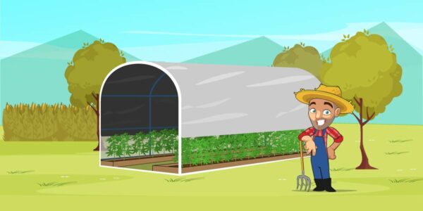 What is Light Dep Weed? (Light Deprivation Techniques)