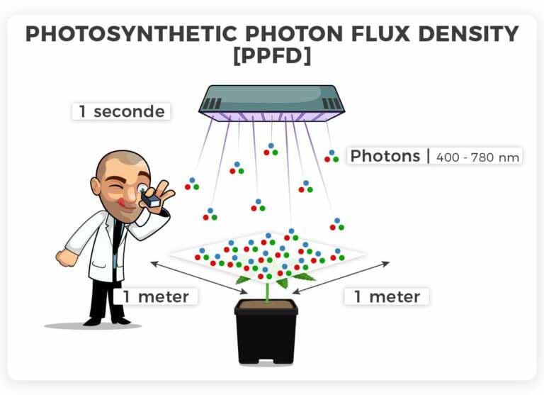 Cannabis Grow Light Distance Chart - ILGM
