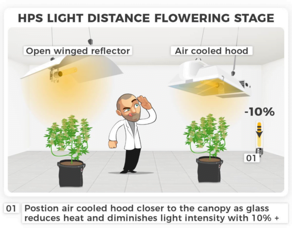 Cannabis Grow Light Distance Chart - ILGM