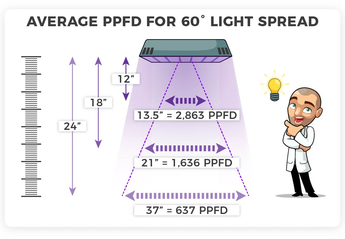 Cannabis Grow Light Distance Chart - ILGM
