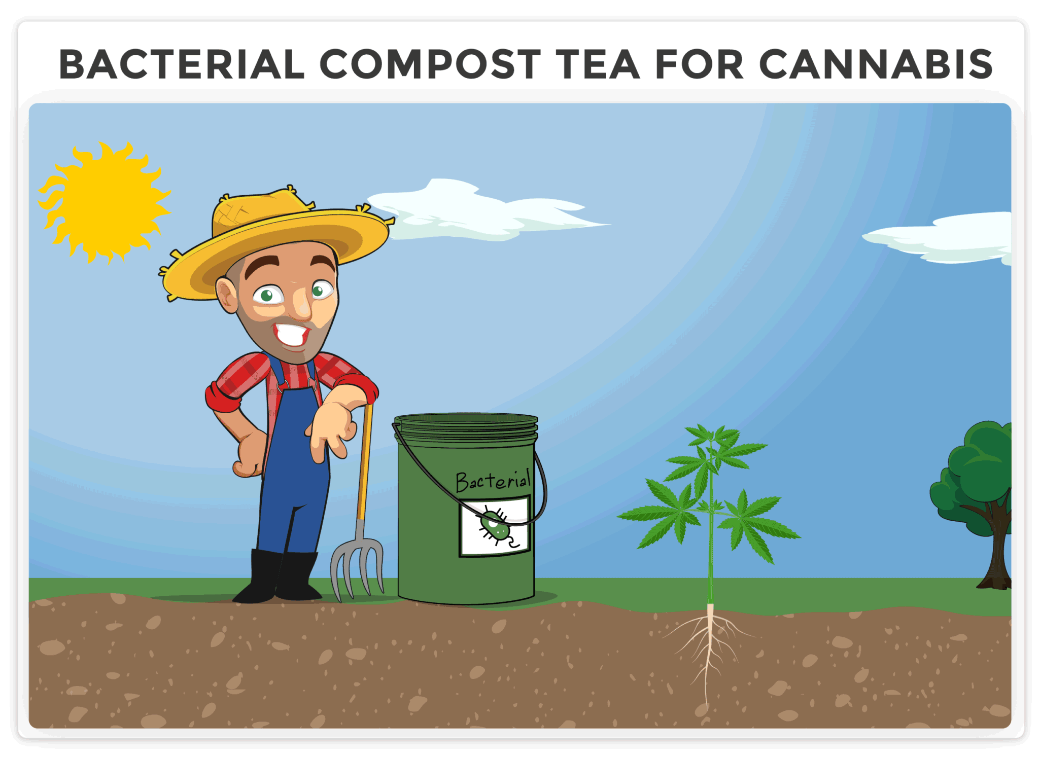 How to Make the Best and Easiest Compost Tea for Cannabis