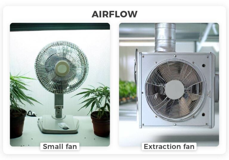 Multiple Ideas for Building a DIY Grow Tent